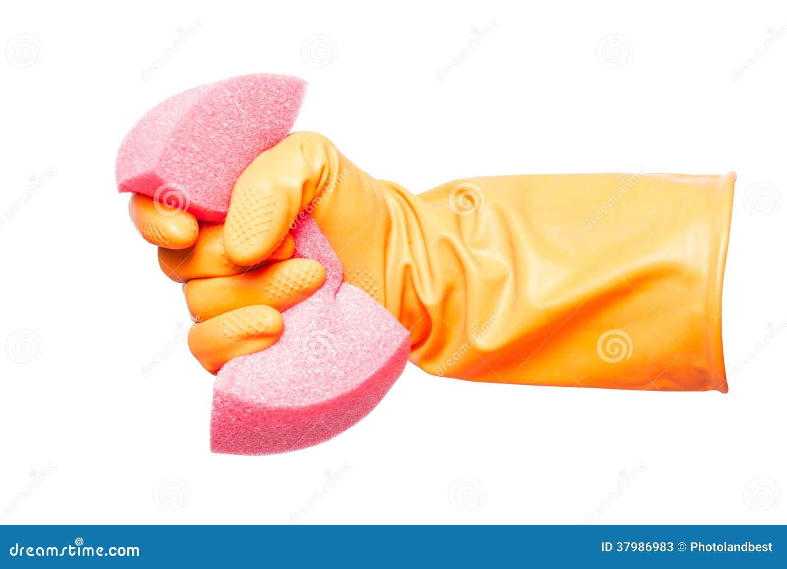 Hand in Glove Holding Sponge, Stock Image - Image of clean, orange ...