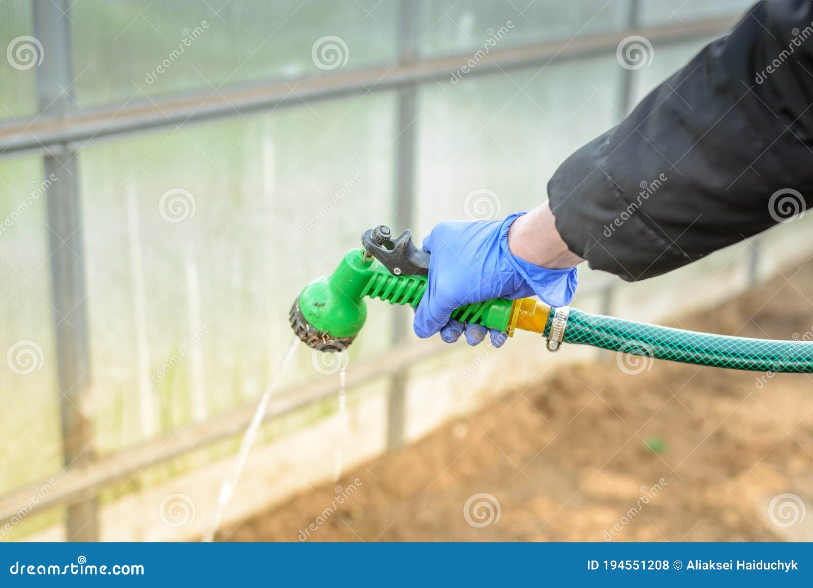 Hand in Glove Holds Watering Hose/hand in a Blue Glove Holds a Green ...