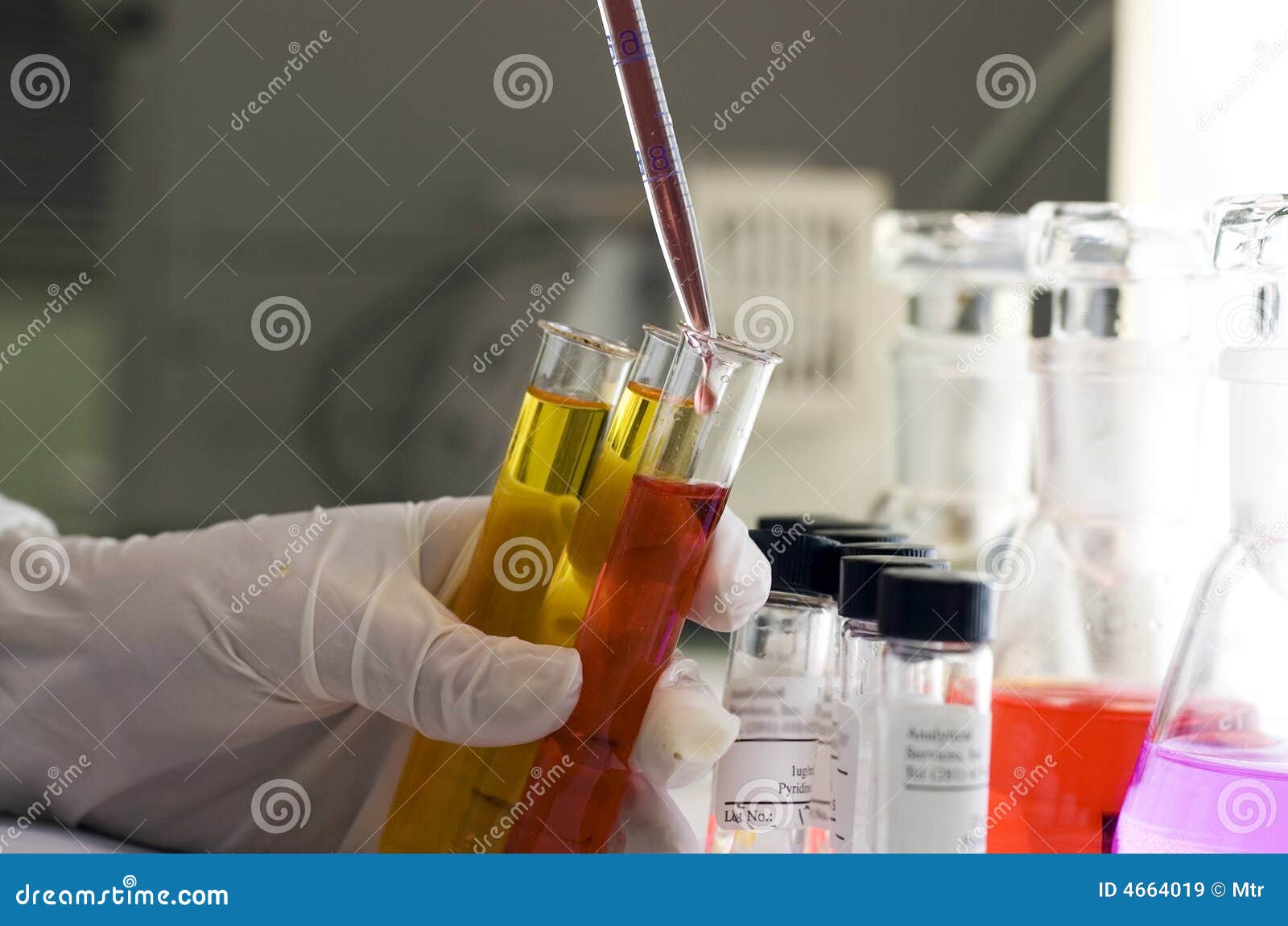 Demonstration Of Microbiology Culture Media In Laboratory Classroom ...