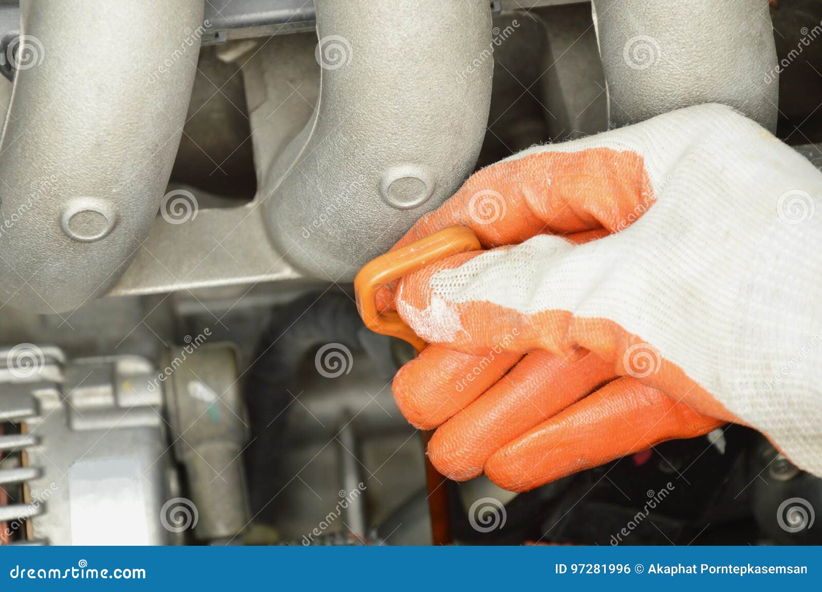 Hand in Glove Pulling Oil Gauge Stick Up for Checking Lubricant Level ...