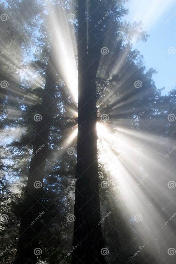 Hand of God Reaching Down stock photo. Image of northern - 610710