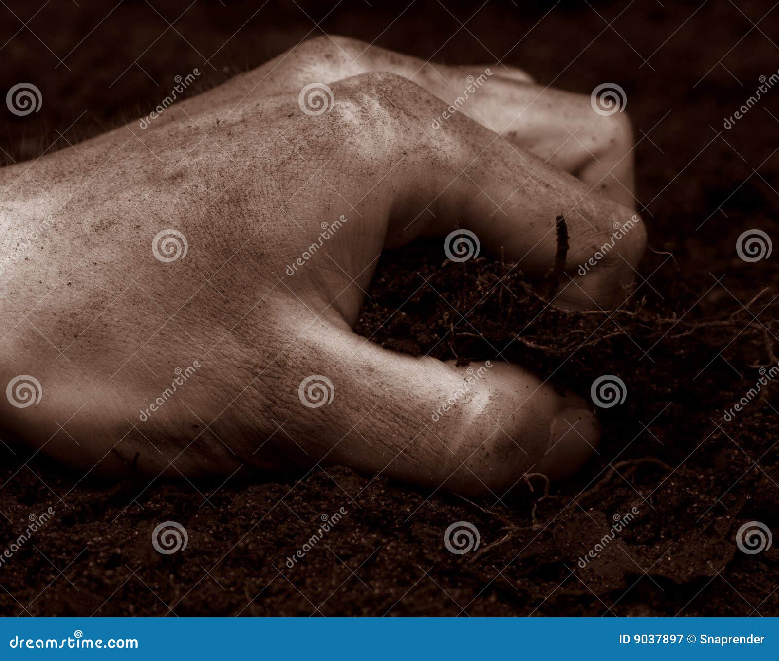 Hand grabbing Dirt stock image. Image of full, dirty, grabbing - 9037897