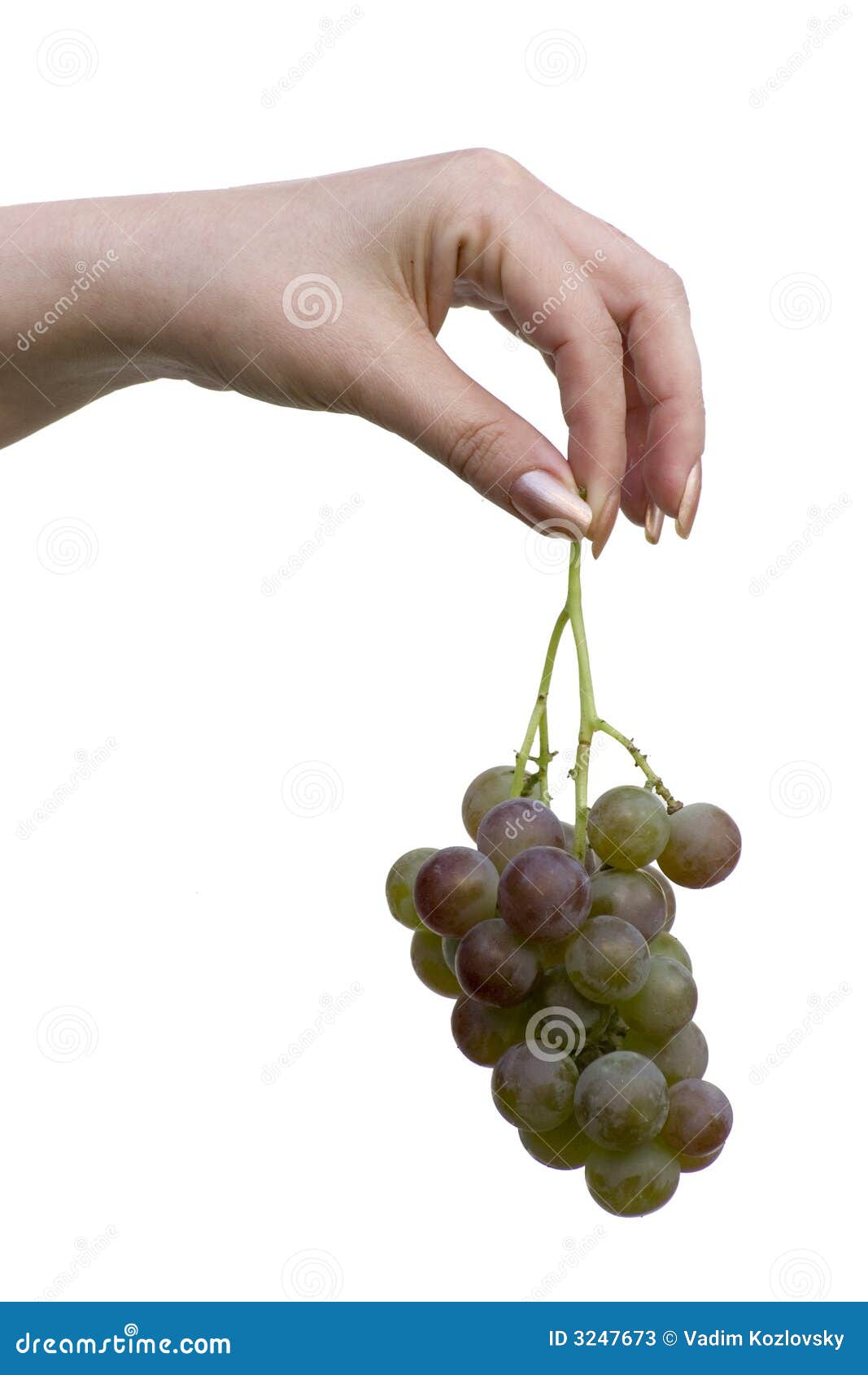 Hand With Grape Picture. Image: 3247673