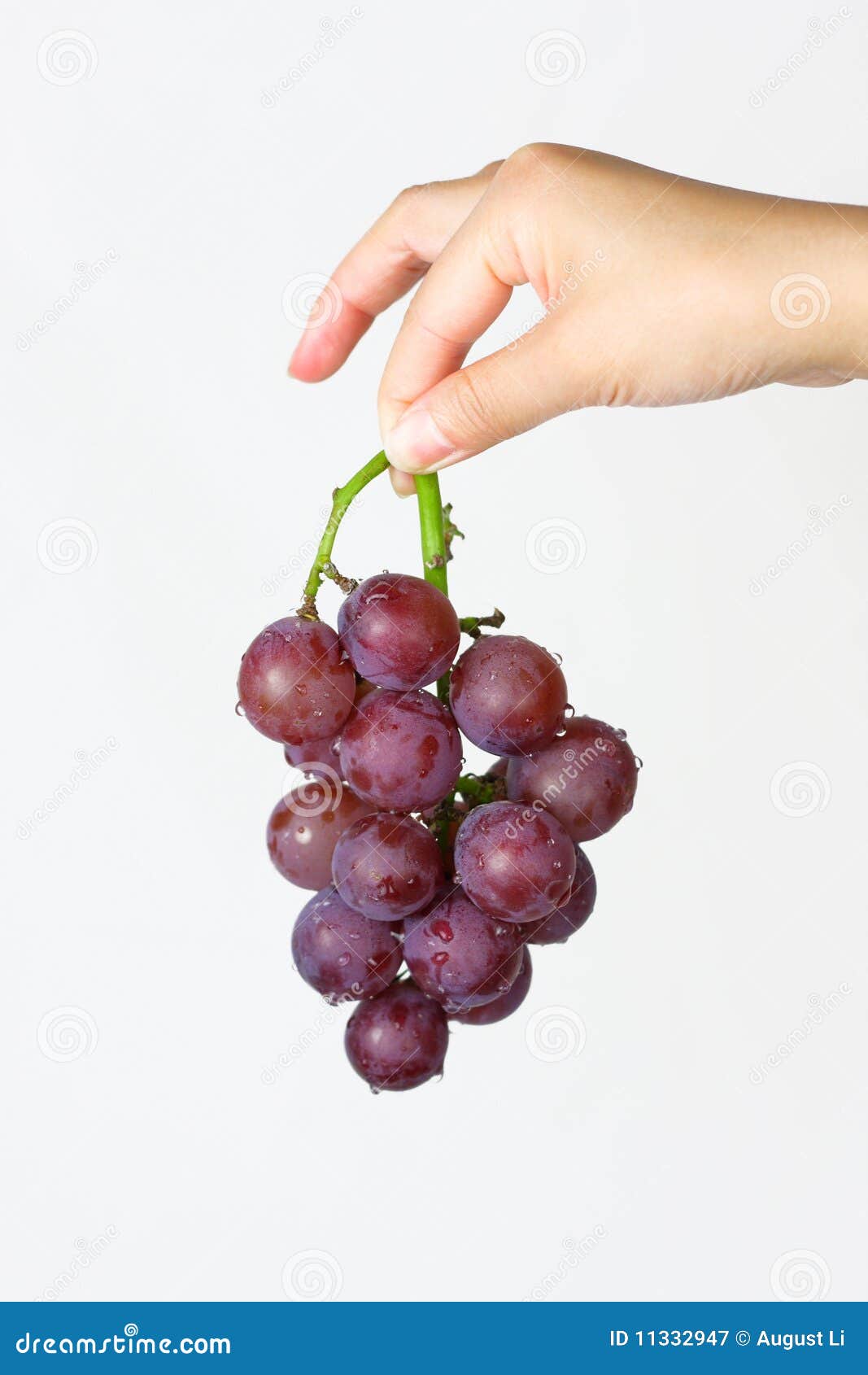 Hand with grapes stock image. Image of bunch, chinese - 11332947