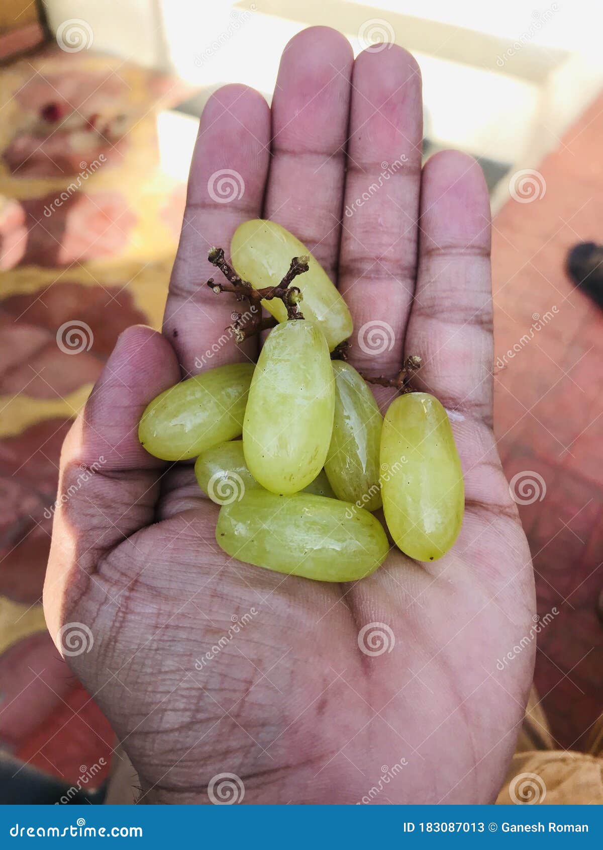 Hand and grapes image stock image. Image of showing - 183087013