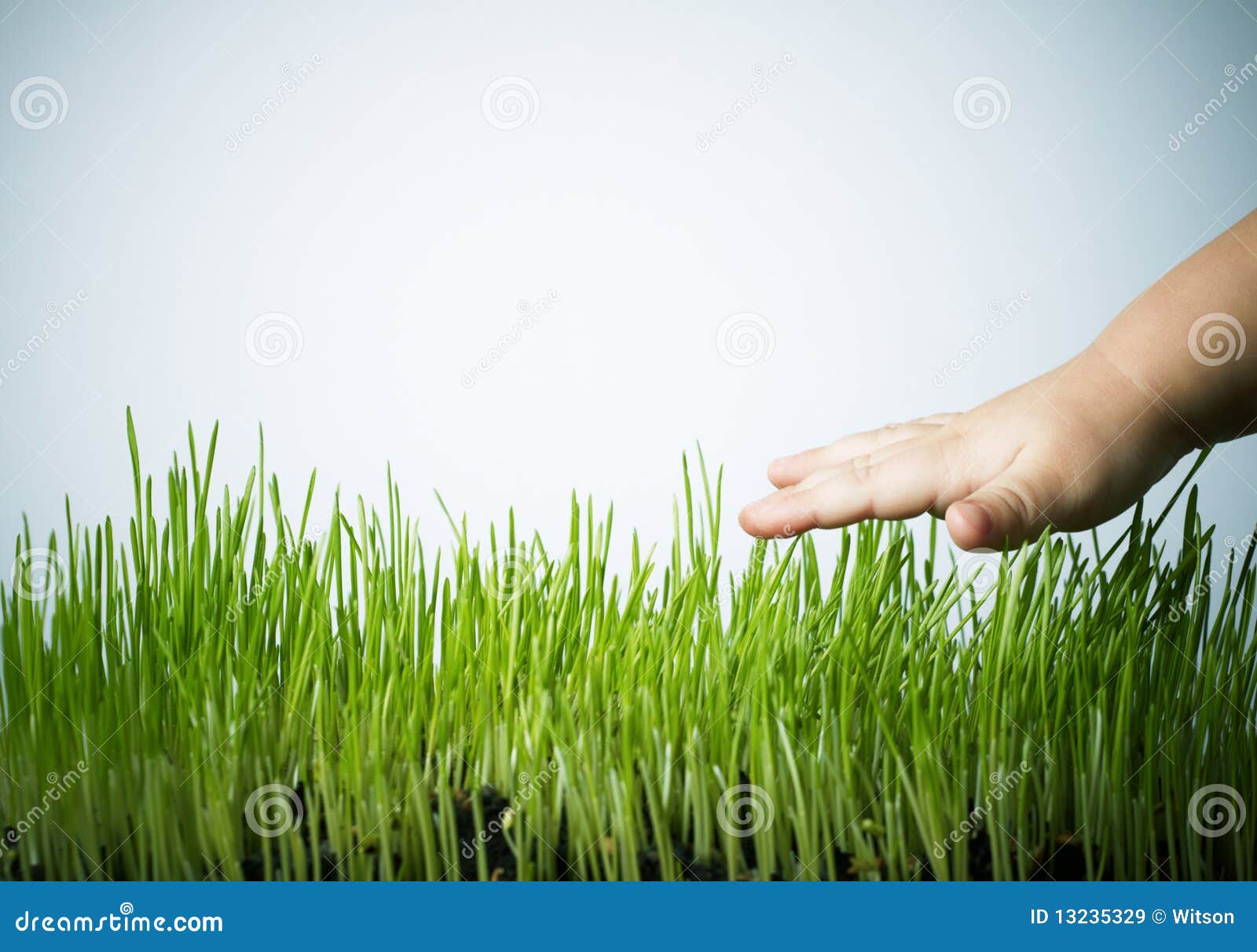 Hand on grass stock image. Image of lawn, finger, colorful - 13235329