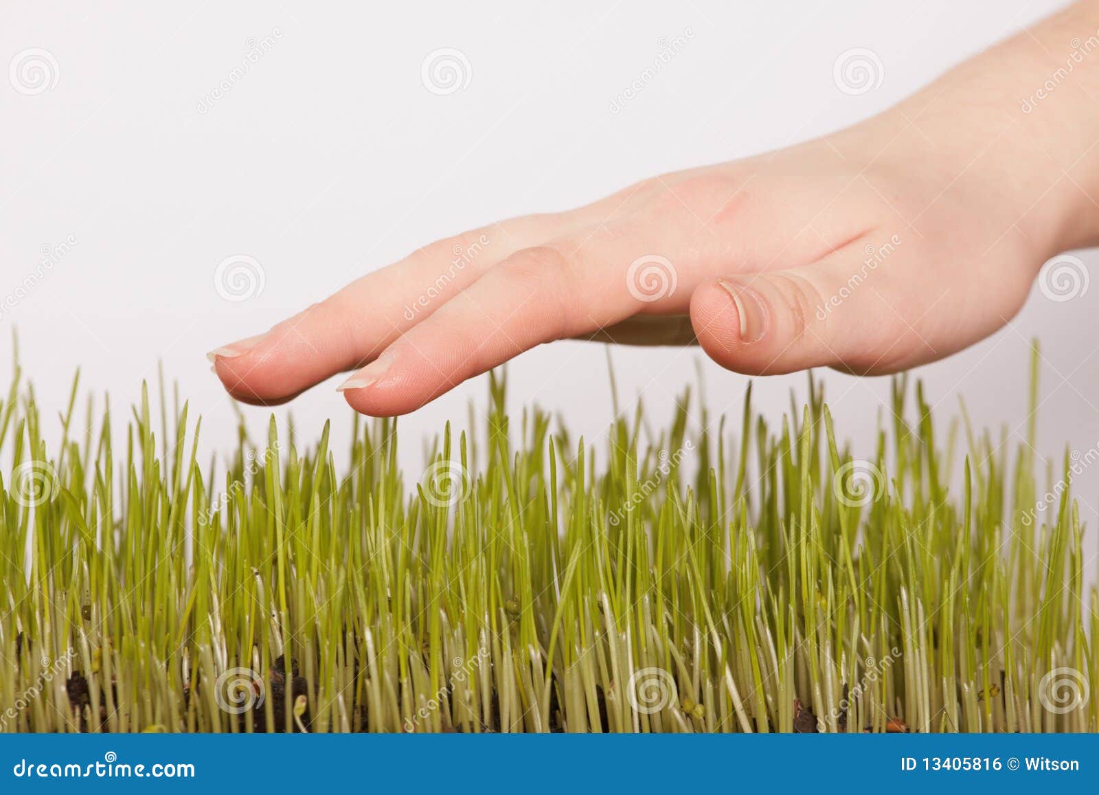 Hand and grass stock photo. Image of hand, creative, climate - 13405816