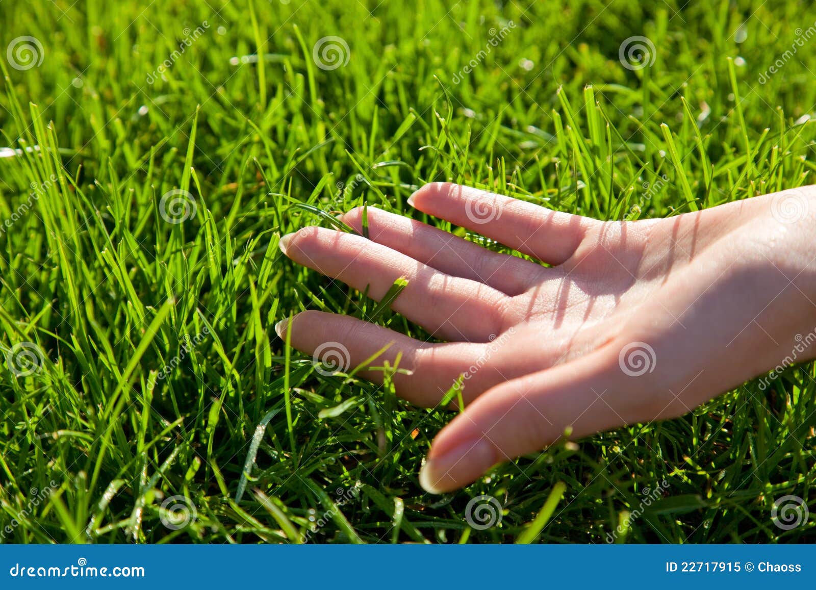 Hand with grass stock image. Image of outdoors, hand - 22717915