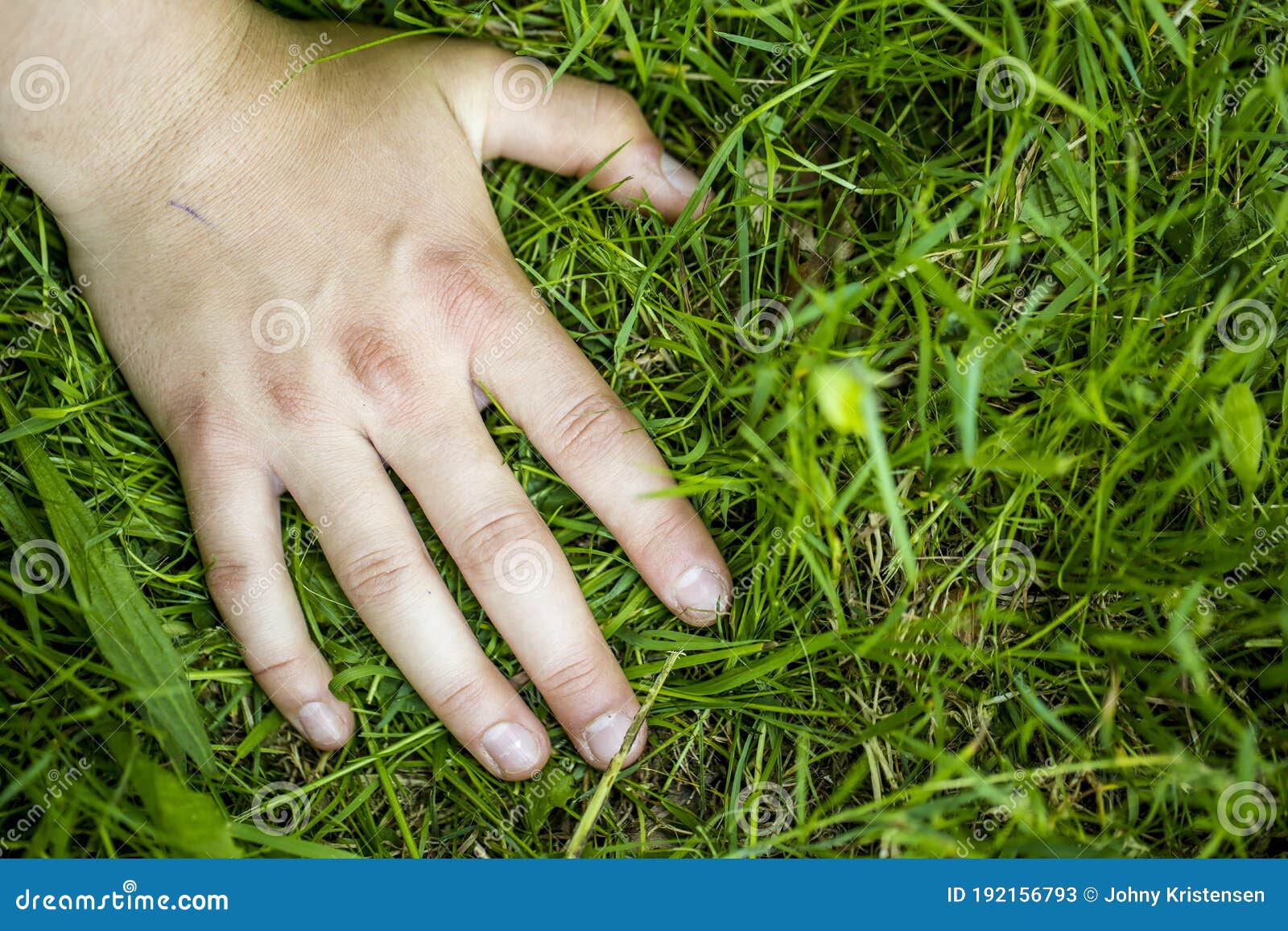 Hand in the grass stock image. Image of world, girl - 192156793