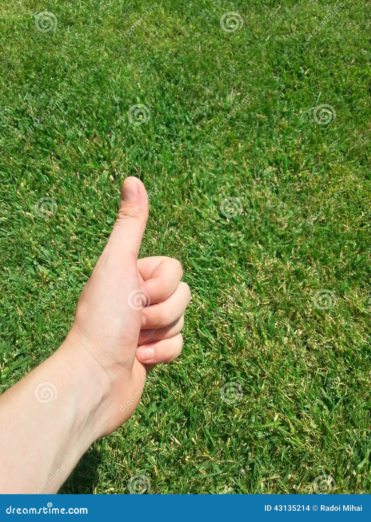 Hand in grass stock photo. Image of finger, grass, lawn - 43135214