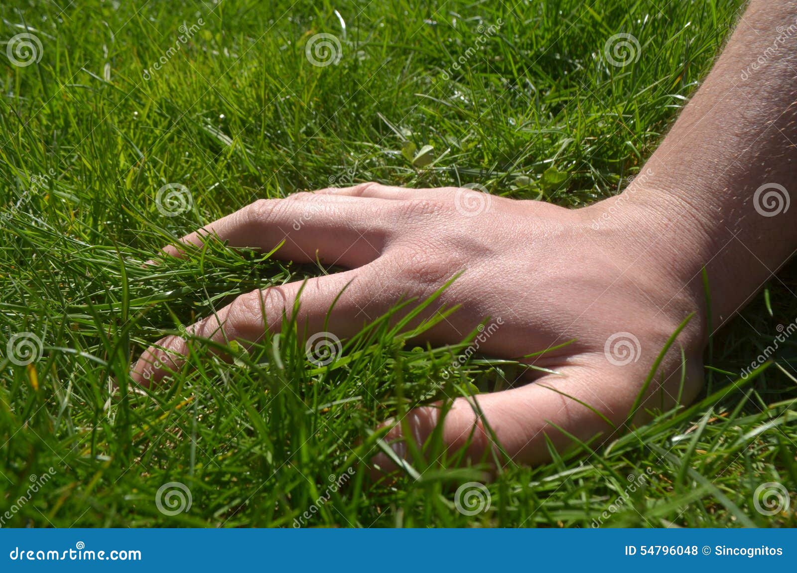 Hand on the Grass stock photo. Image of finger, human - 54796048