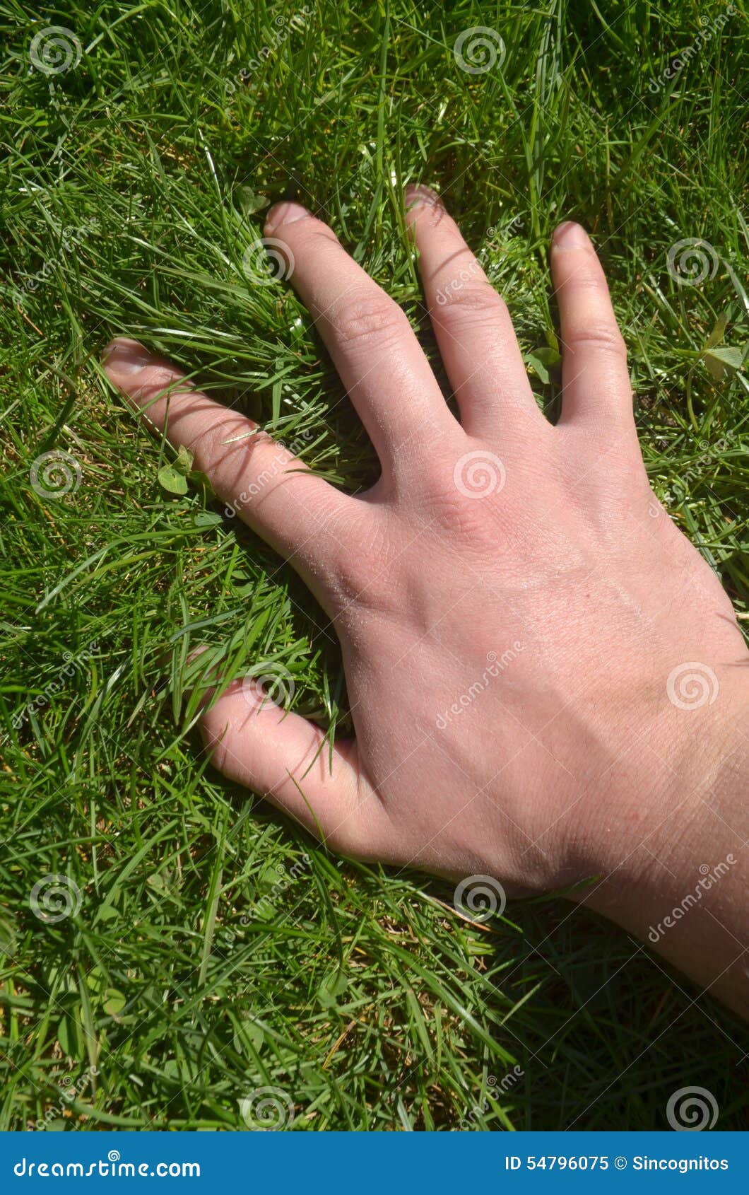 Hand on the Grass stock image. Image of fresh, environmental - 54796075