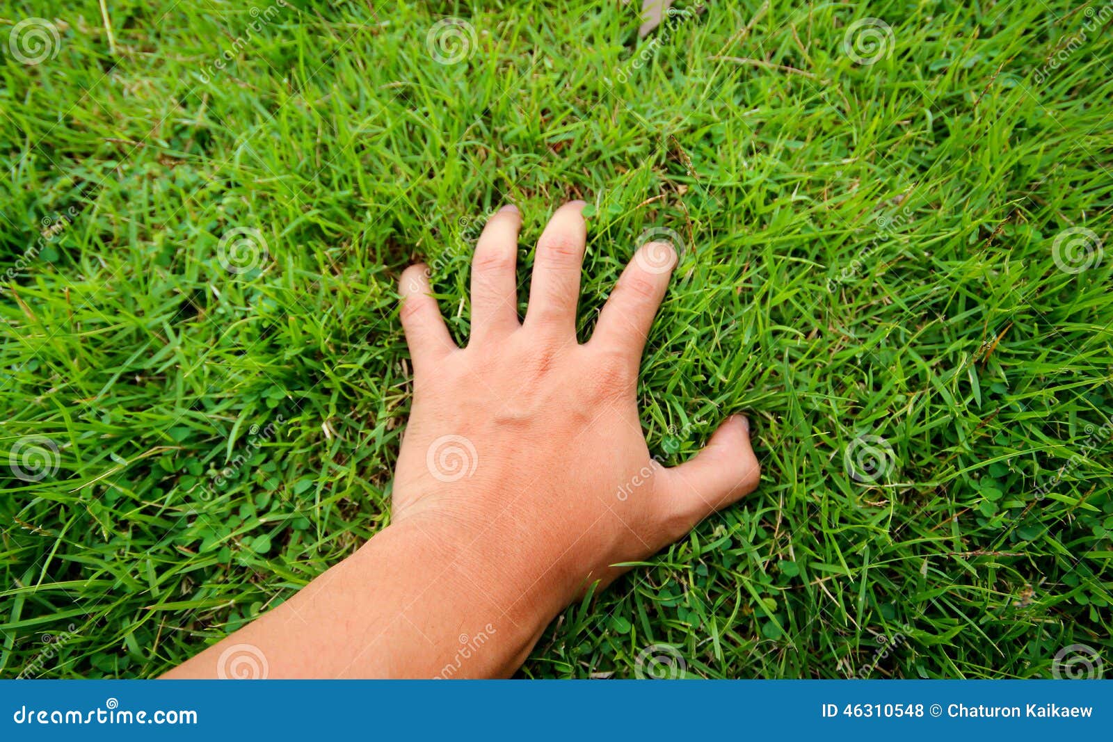 Hand in green grass stock photo. Image of person, farmer - 46310548