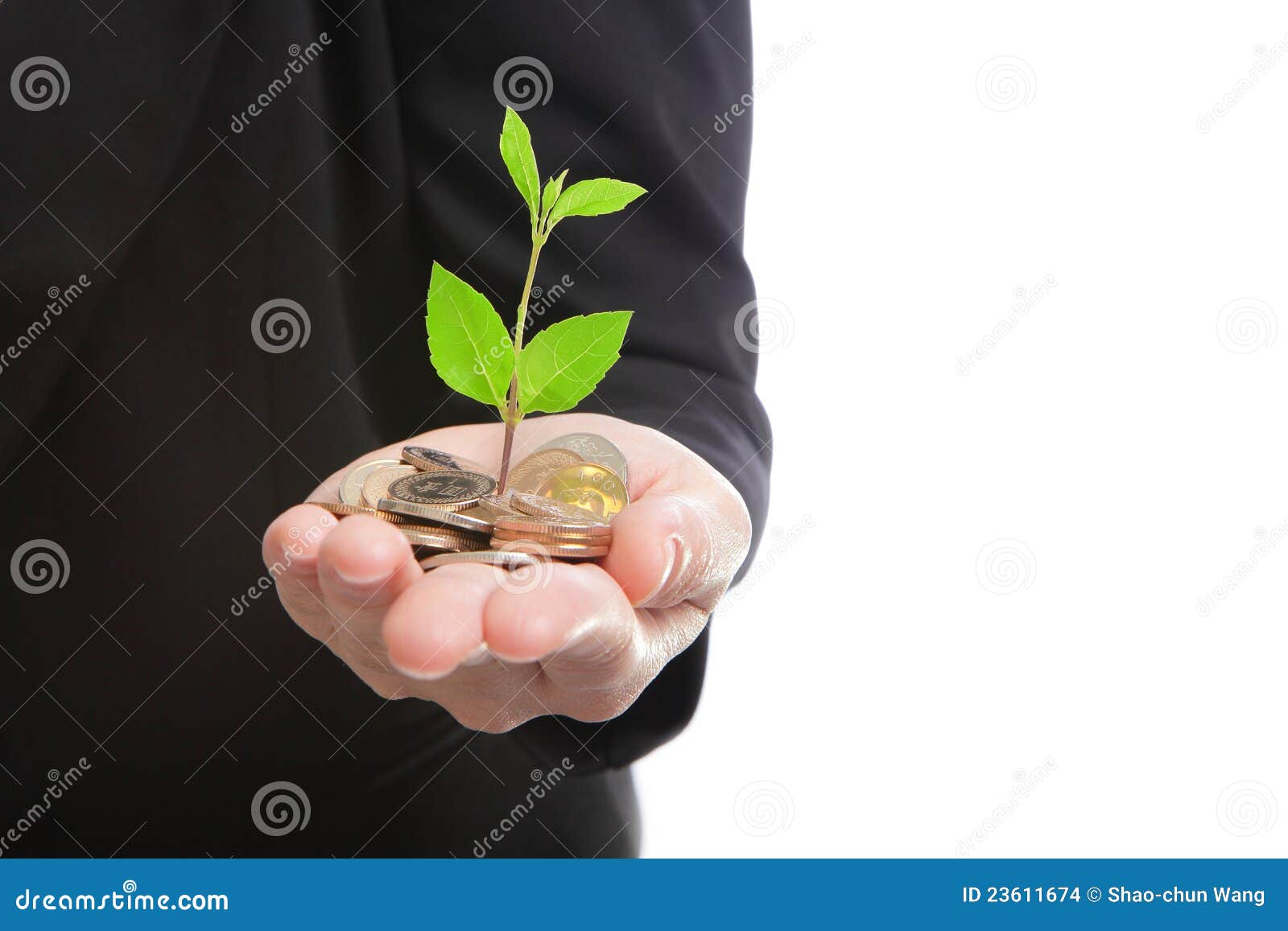 Hand with Green Plant Growing from Money Stock Photo - Image of credit ...
