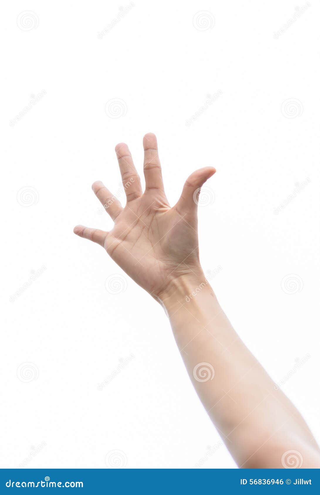 Hand greeting stock photo. Image of closeup, sign, palm - 56836946