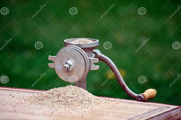 Hand Grinder stock image. Image of hand, wheat, grinder - 51392413