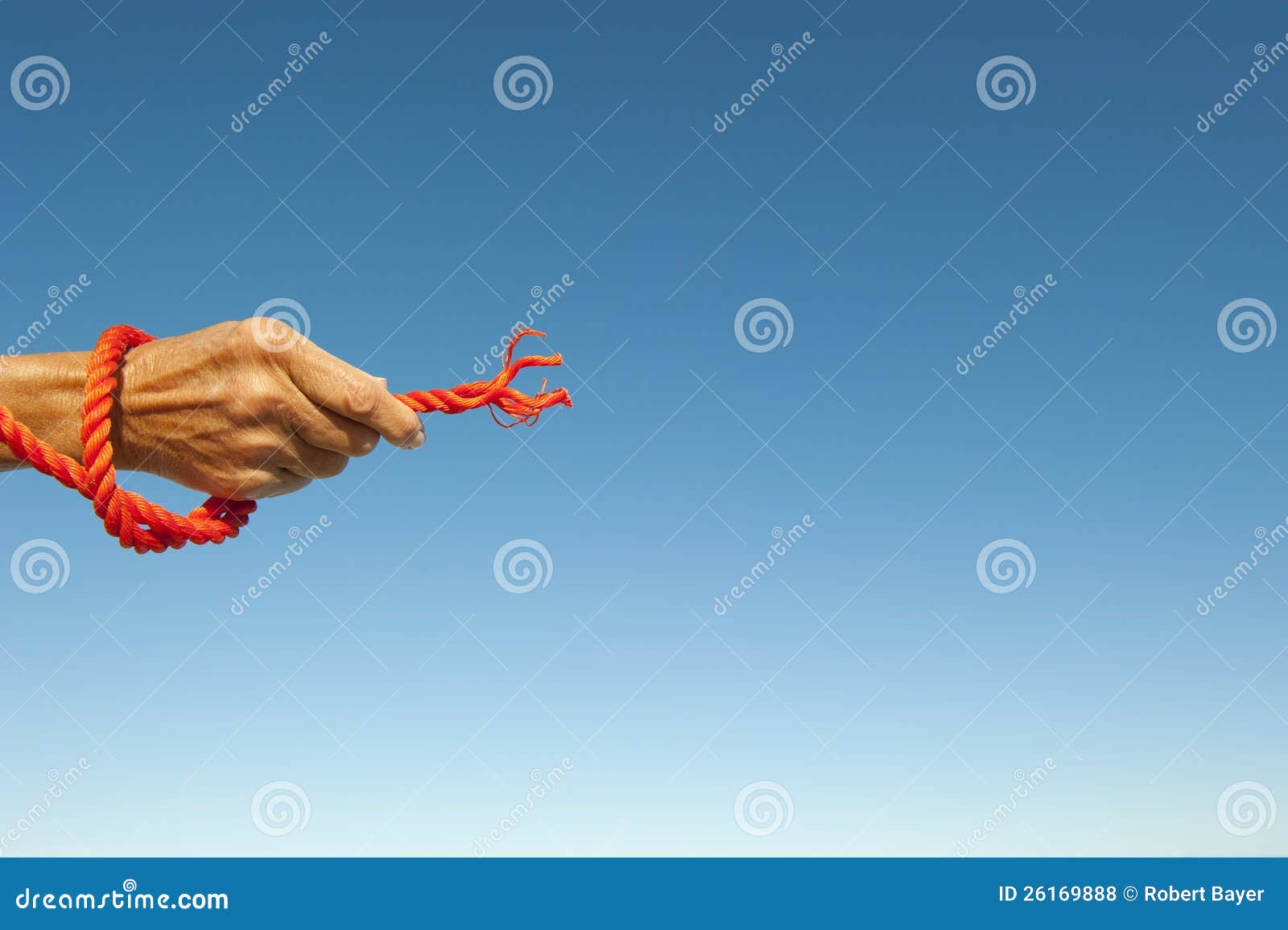 126 Hand Gripped Photos - Free & Royalty-Free Stock Photos from Dreamstime