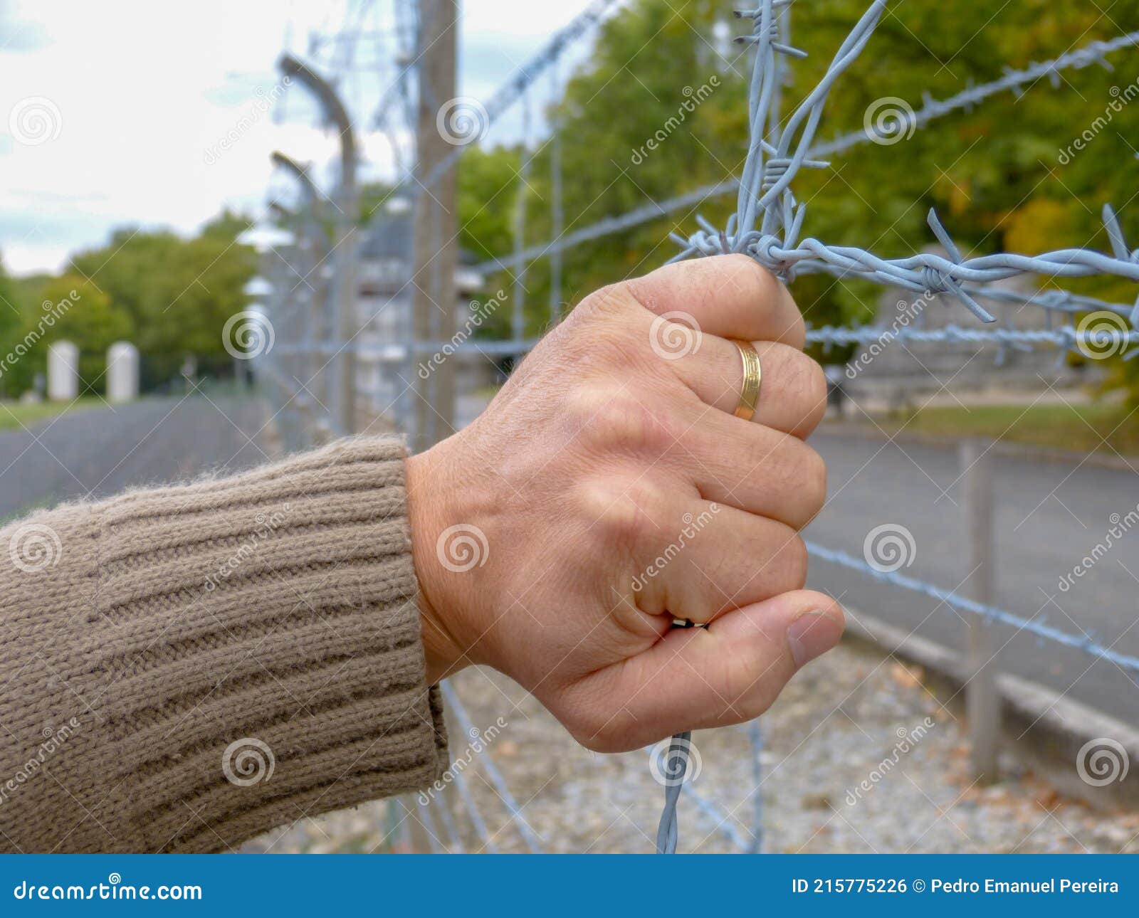 Hand Gripping a Barbed Wire Fence Stock Photo - Image of wire, hand ...