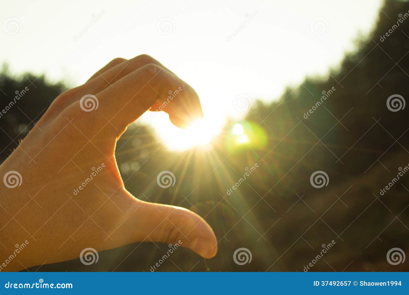 Sunshine hand haft heart stock image. Image of glare - 37492657