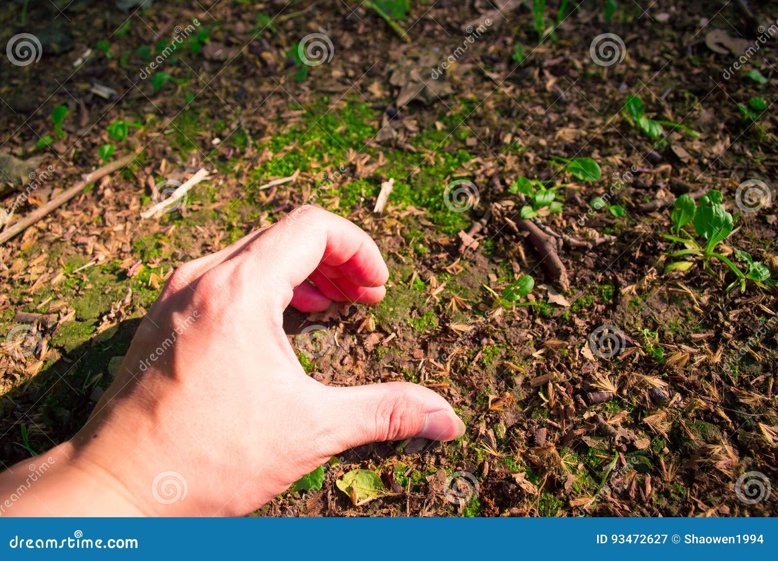 Hand half heart in sunset stock image. Image of romantic - 93472627