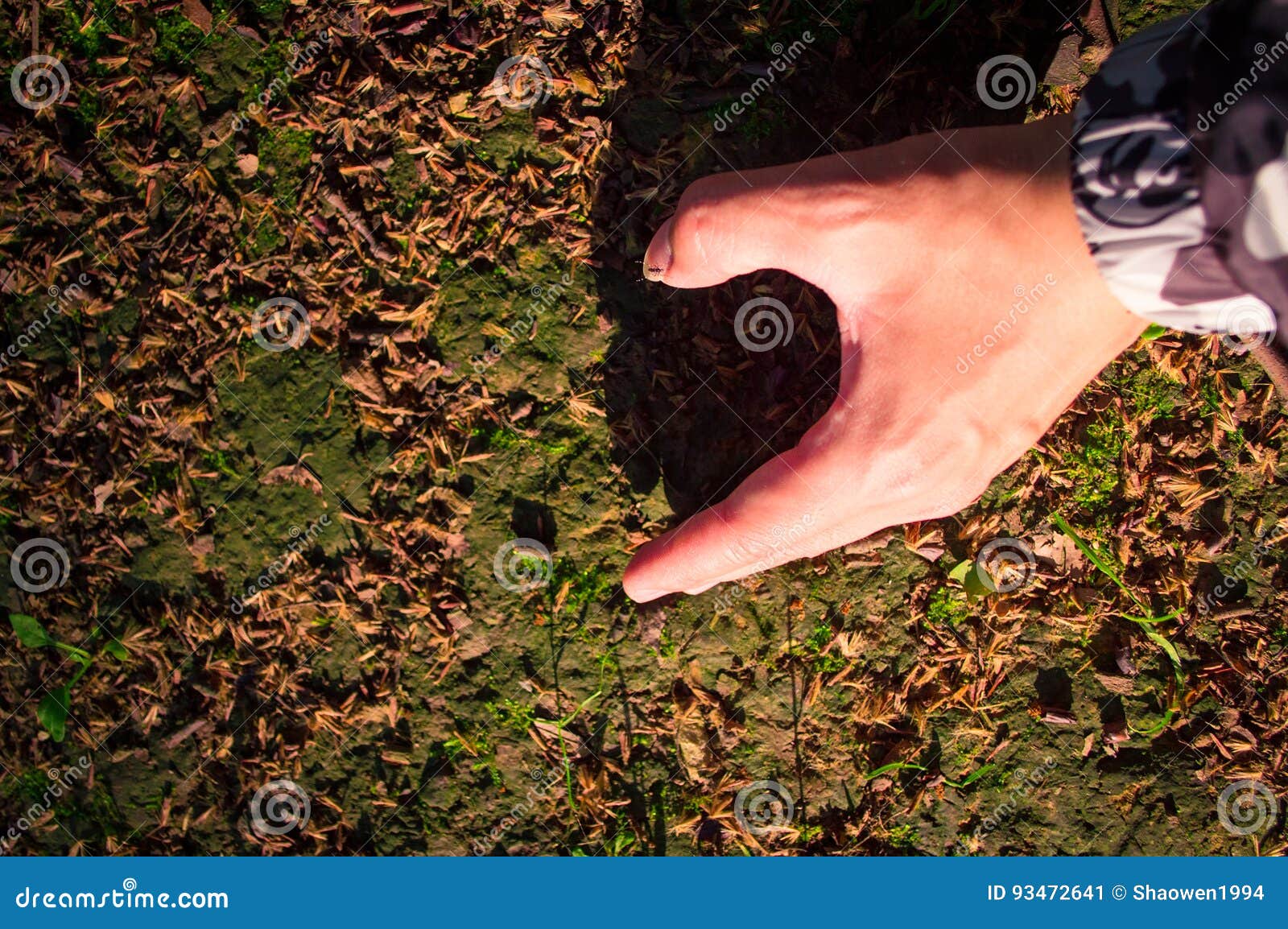 Hand half heart in sunset stock image. Image of dazzling - 93472641