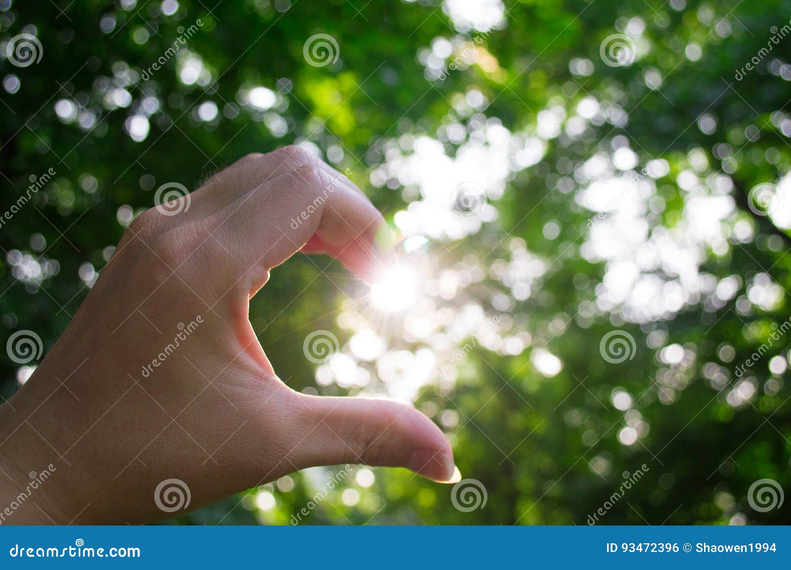 Hand half heart sunshine stock photo. Image of sunrise - 93472396
