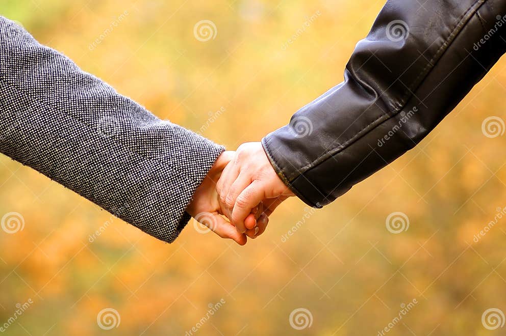 Hand-in-hand stock photo. Image of love, lead, autumn - 1567388