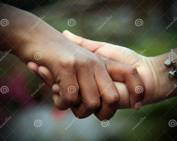 Hand in hand stock photo. Image of helping, isolated - 17669286