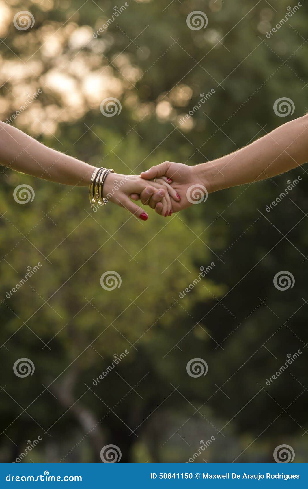Hand in hand stock photo. Image of hands, adults, affection - 50841150