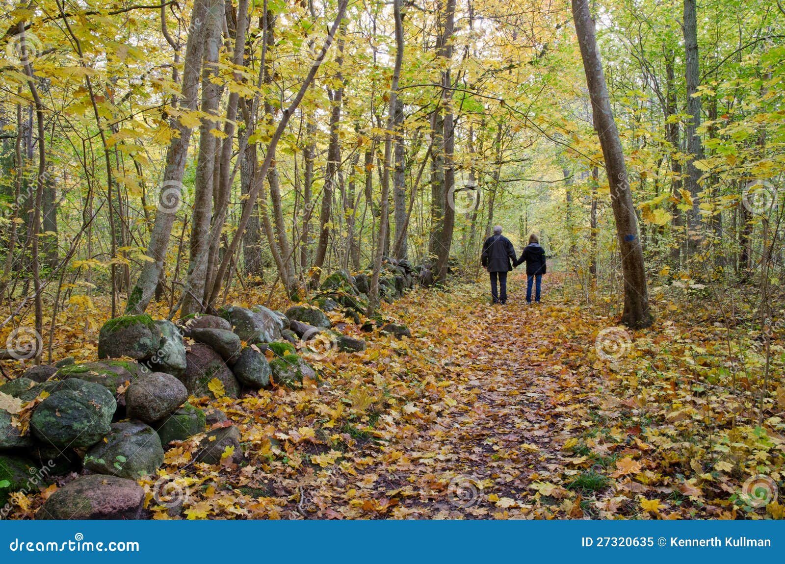 Hand in Hand in Golden Forest Stock Image - Image of environment ...