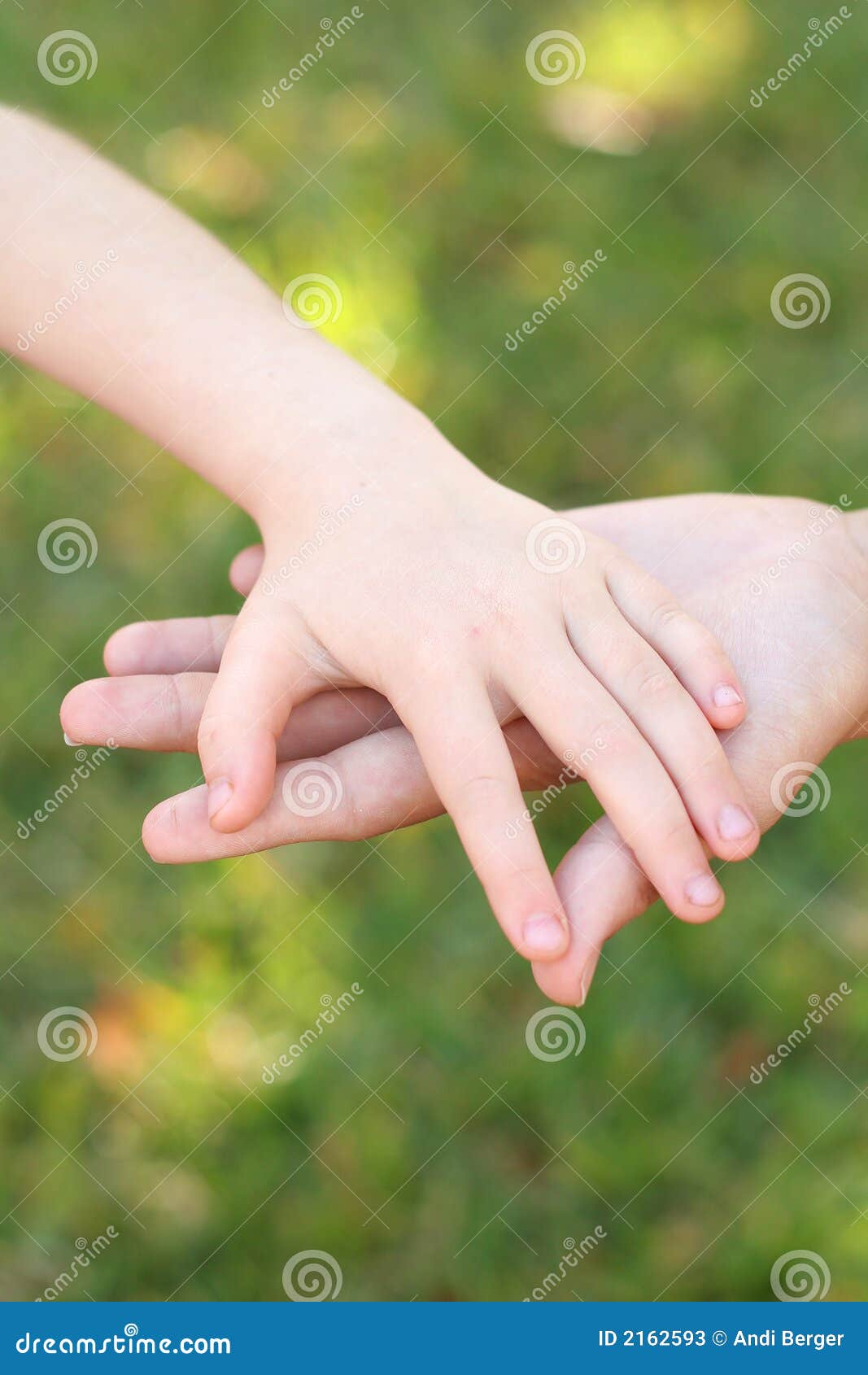 Hand in hand vertical stock image. Image of baby, adolescent - 2162593