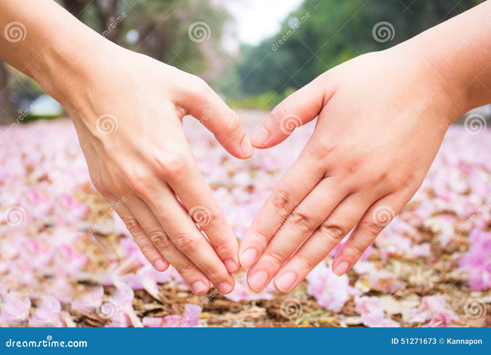 Hand in Heart on Pink Flower Background Stock Image - Image of ...