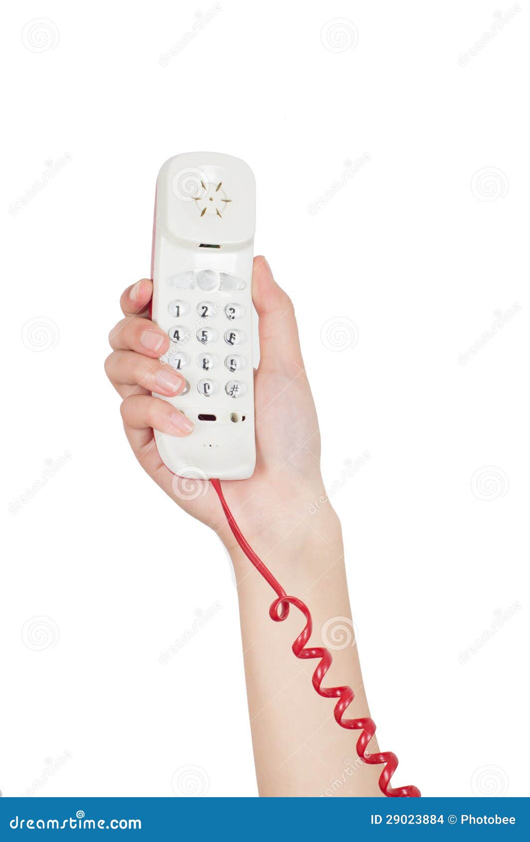 Hand-held phone stock photo. Image of woman, phone, holding - 29023884