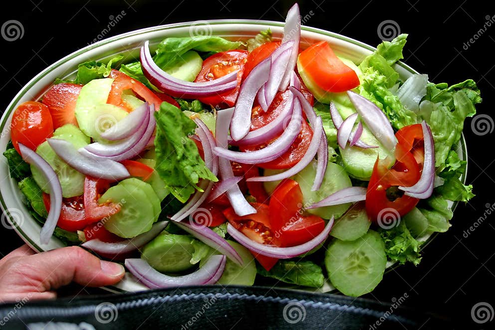 Hand held plate of salad stock photo. Image of fresh, items - 740954