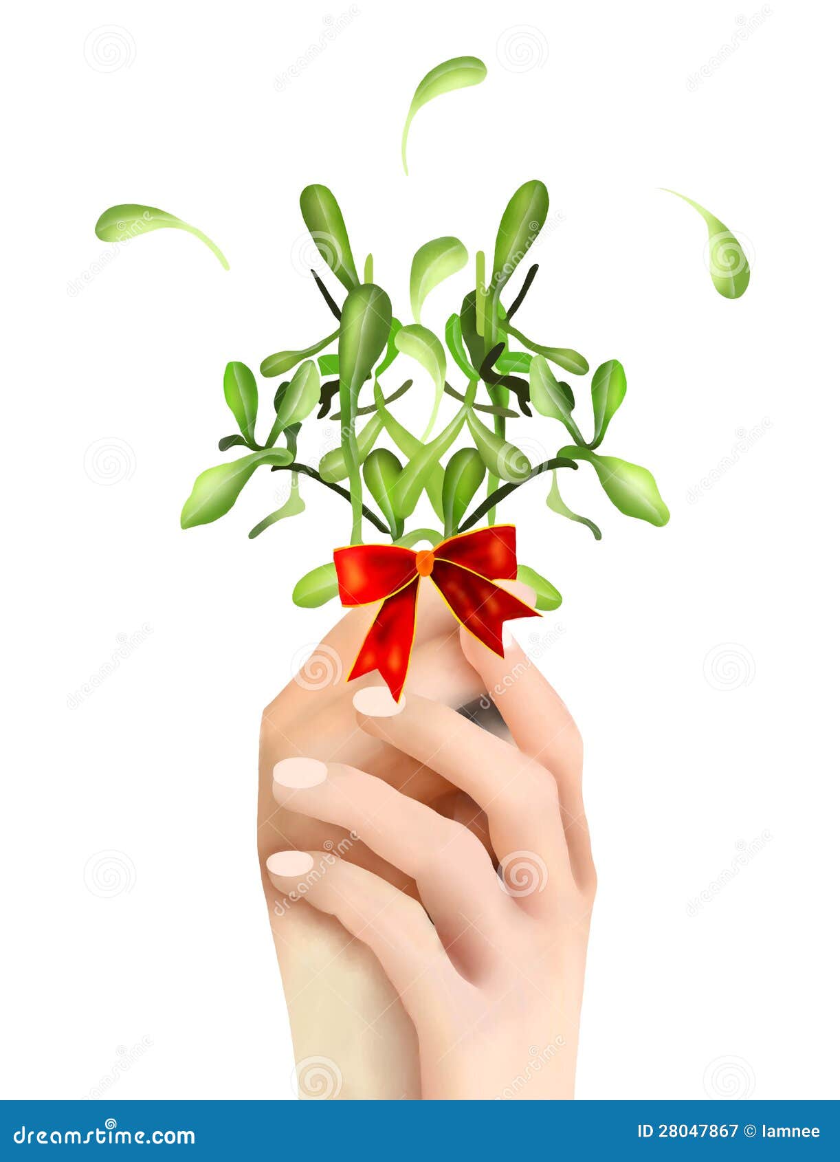 Hand Hoding Green Mistletoe with a Red Bow Stock Image - Image of ...