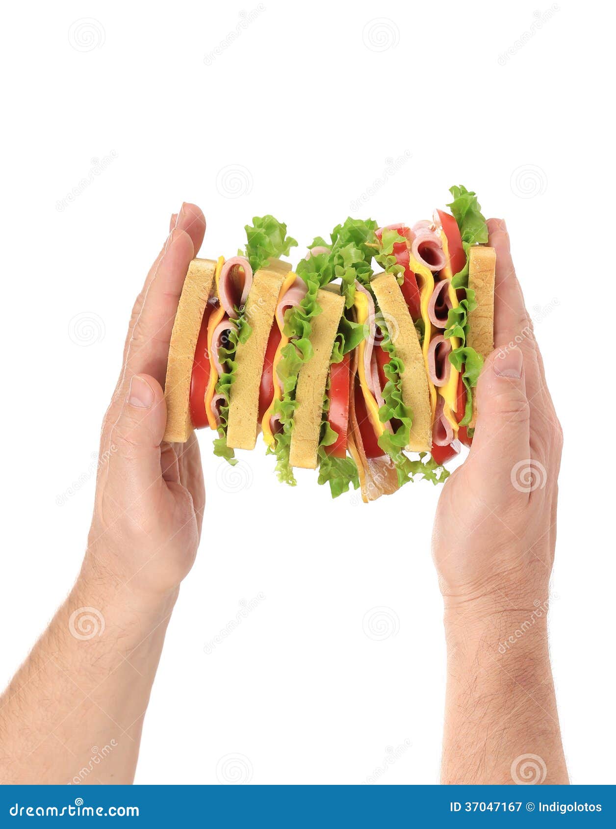 Hand Hold of a Big Sandwich Stock Image - Image of bread, healthy: 37047167
