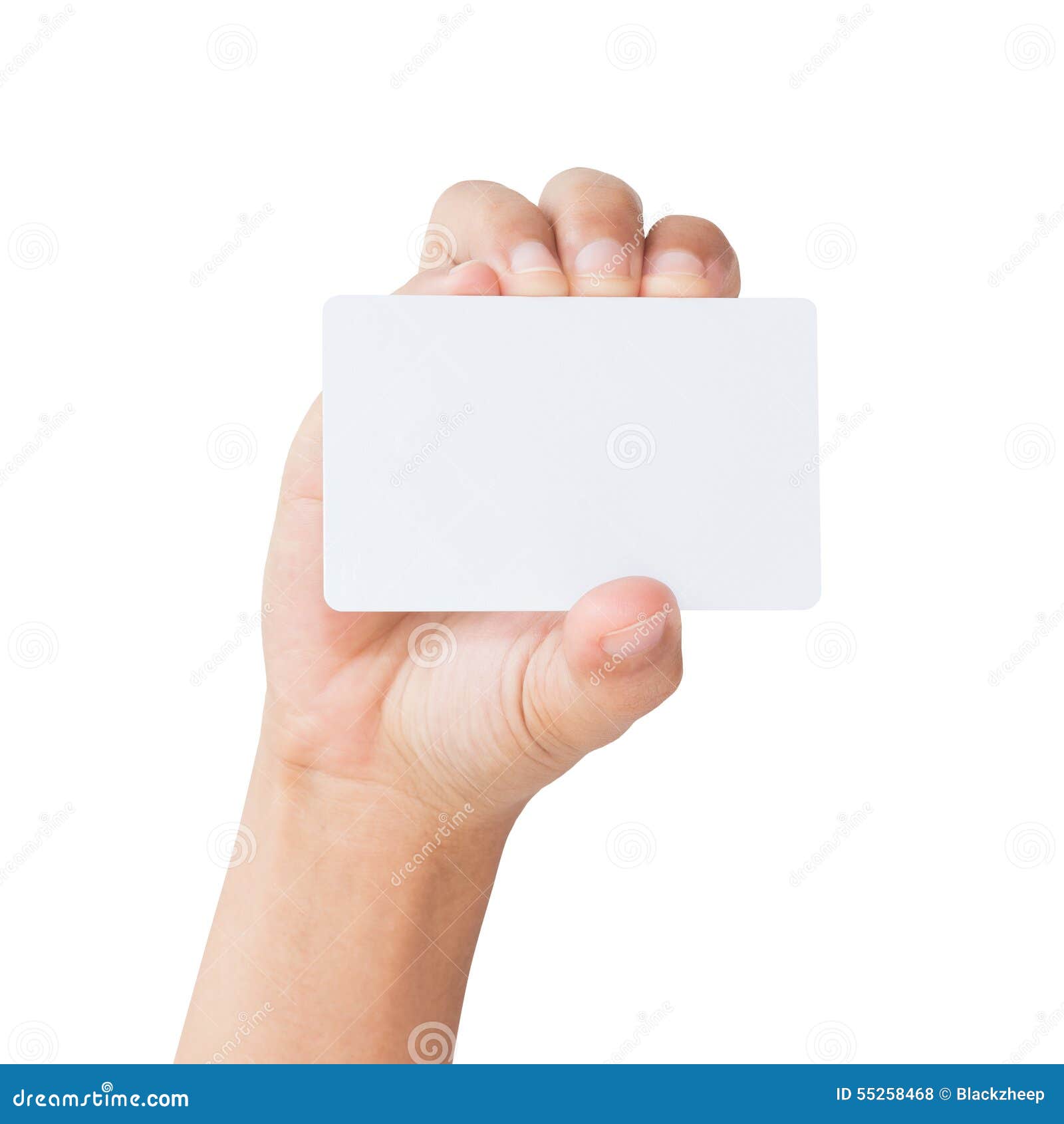 Hand Hold Card Isolated Clipping Path Inside Stock Photo - Image of ...