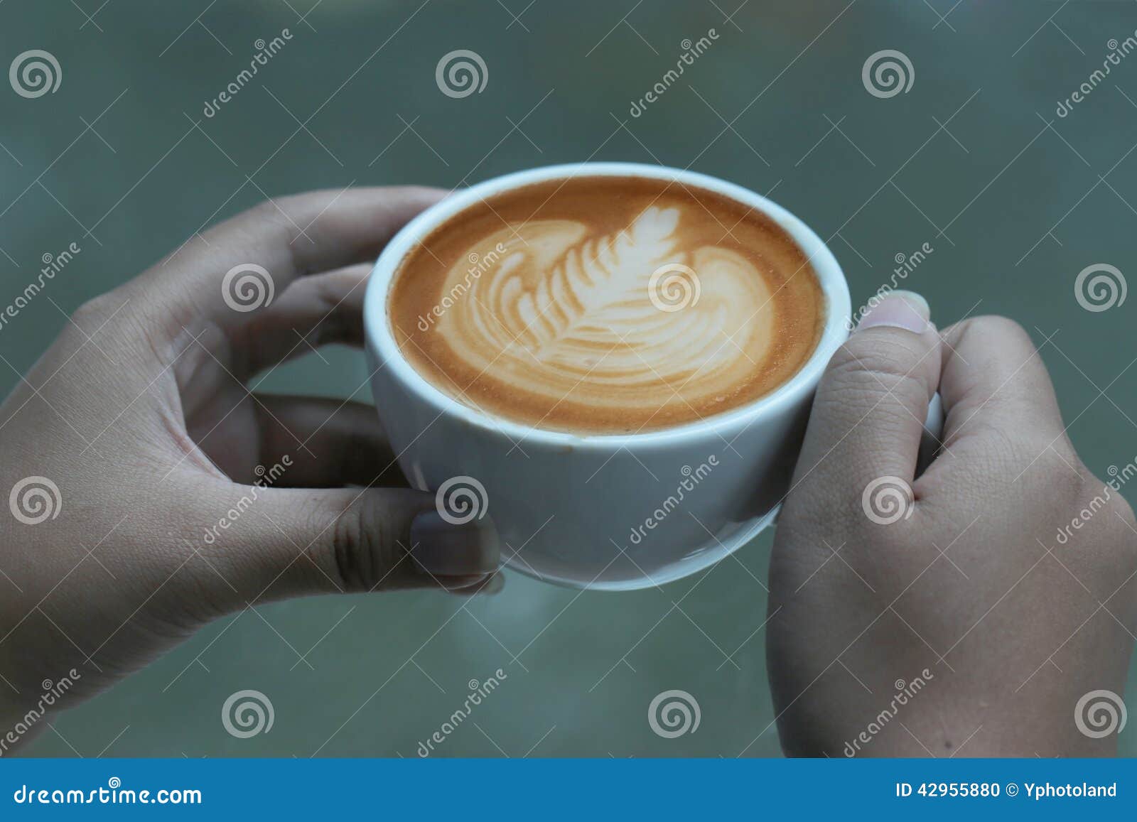Hand hold coffee cup stock photo. Image of latte, hand - 42955880