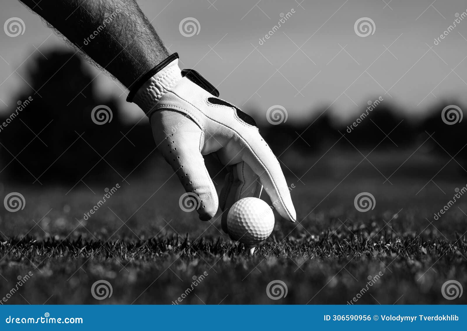 Hand Hold Golf Ball. Golfer Man with Golf Glove. Man Golfer Playing ...