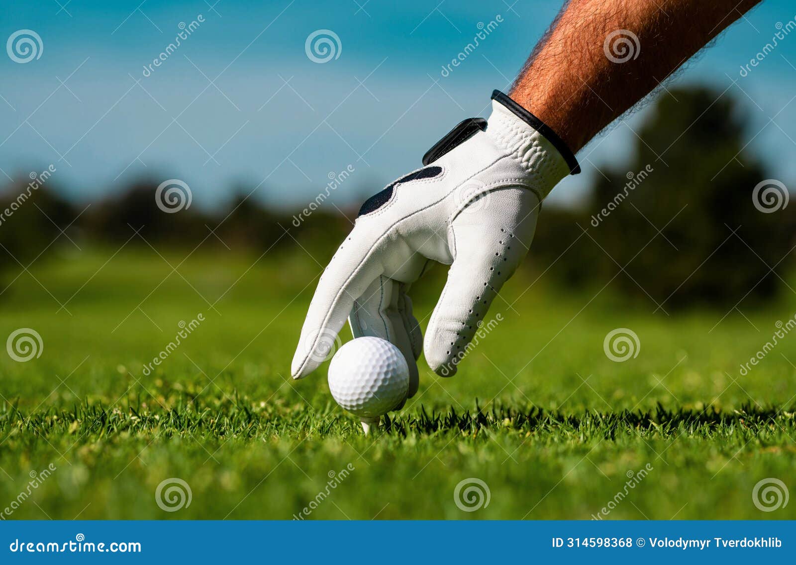 Hand Hold Golf Ball. Golfer Man with Golf Glove. Man Golfer Playing ...