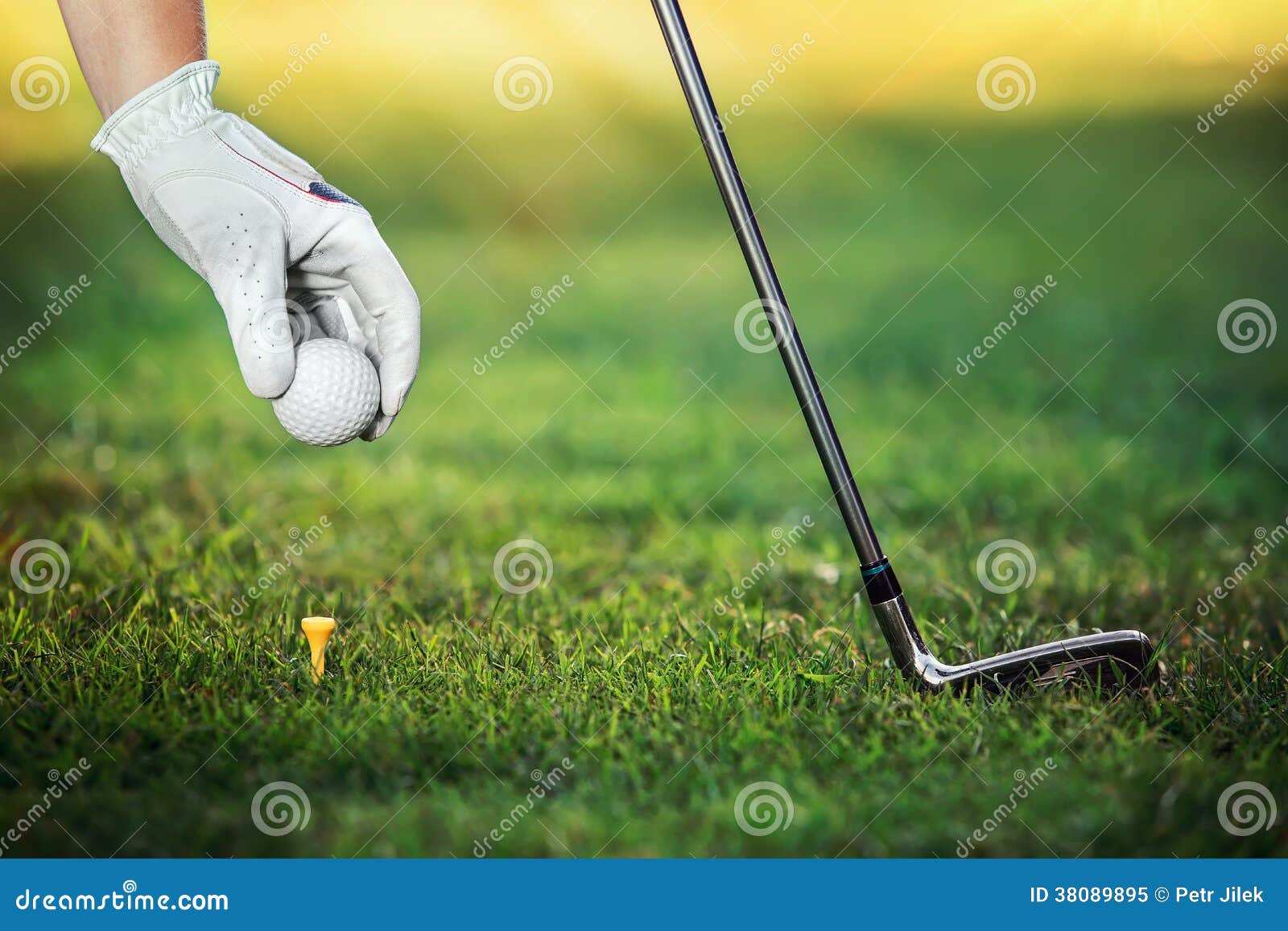 Hand Hold Golf Ball with Tee on Course, Close-up Stock Image - Image of ...