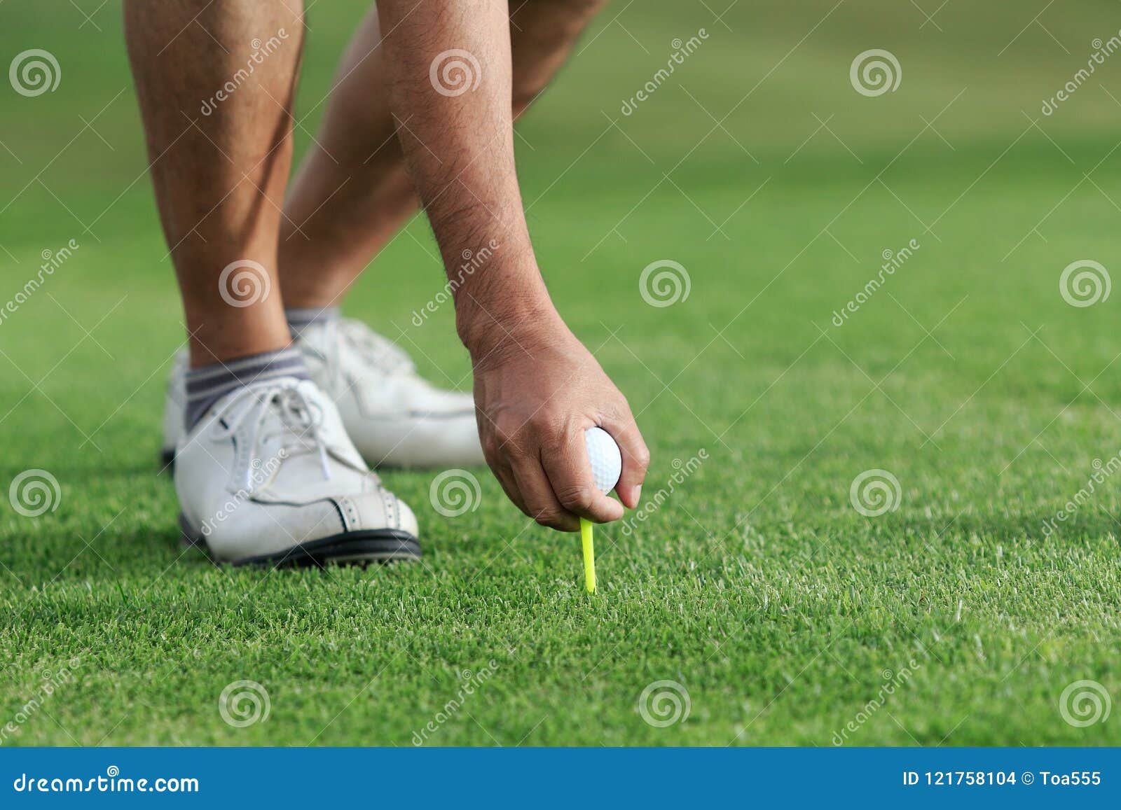 Hand Hold Golf Ball with Tee on Course Stock Photo - Image of ...