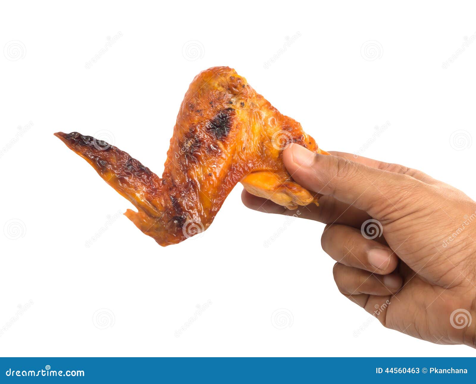 Hand Hold Grilled Chicken Wing Stock Image - Image of hand, lunch: 44560463
