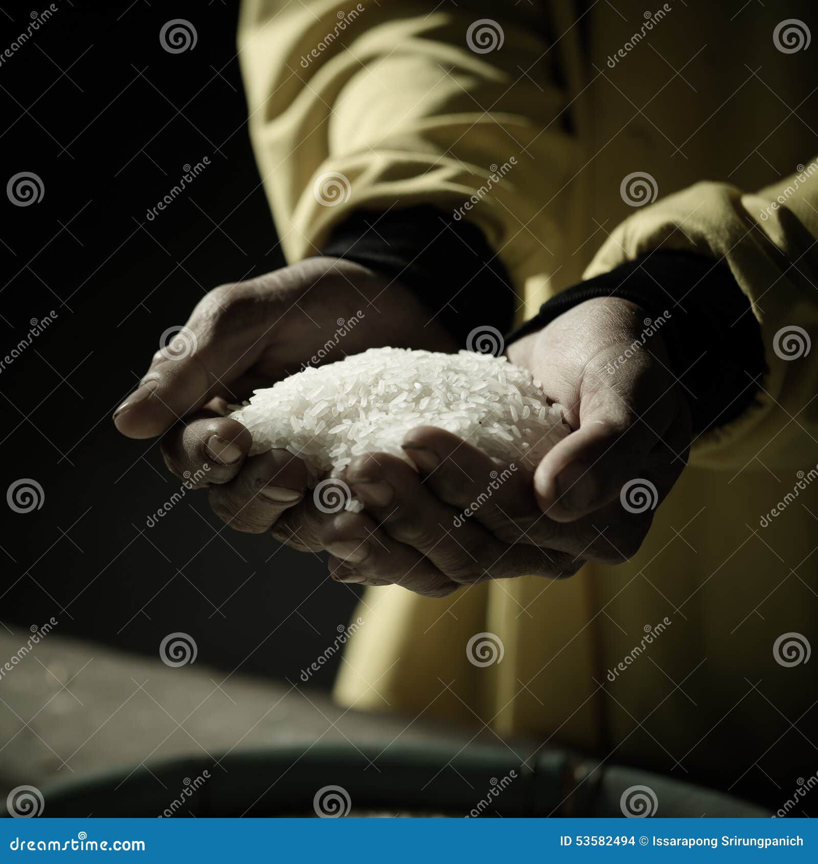 Hand hold rice stock photo. Image of asia, industry, farming - 53582494