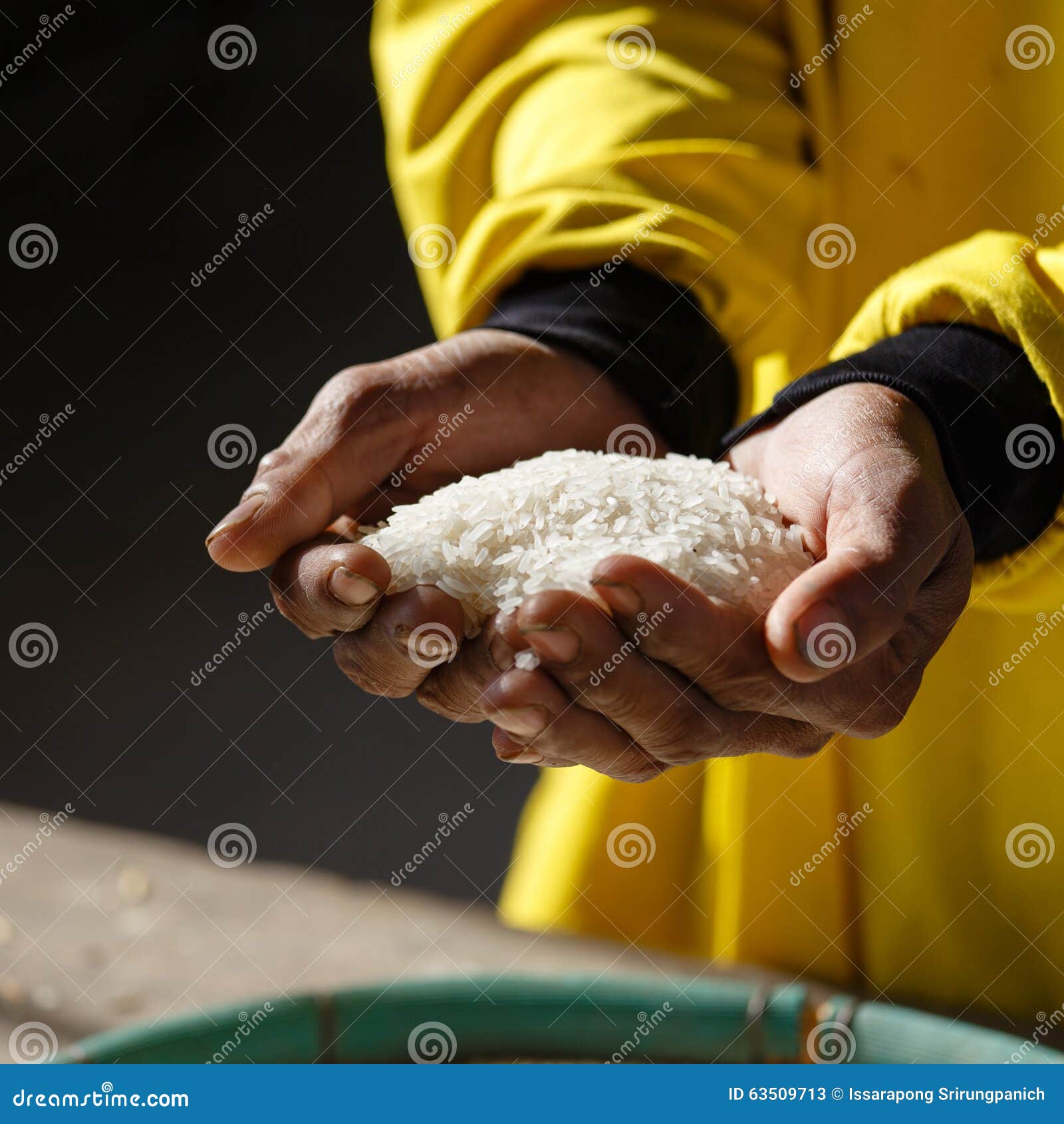 Hand hold rice stock image. Image of white, farming, sticky - 63509713