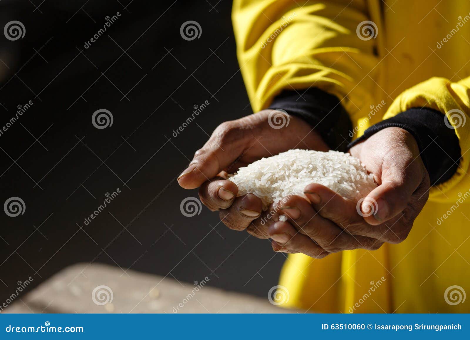 Hand hold rice stock photo. Image of seed, white, cuisine - 63510060