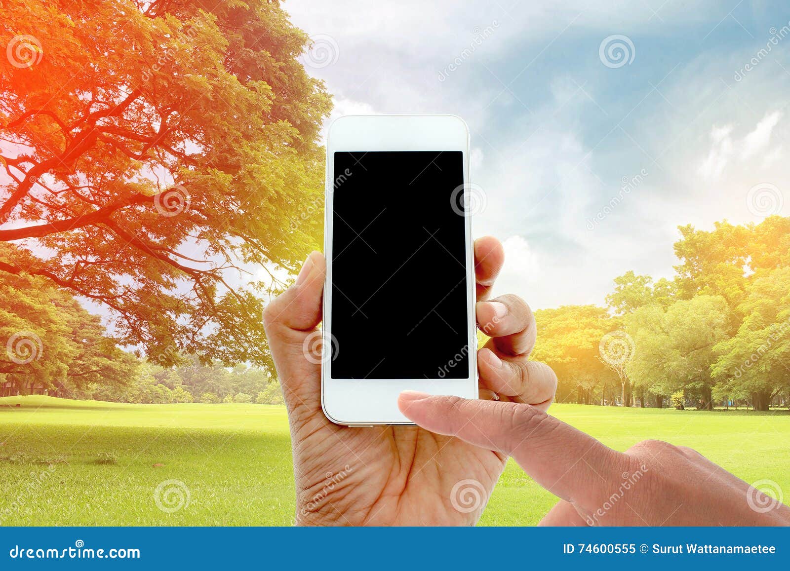 Hand Hold and Touch Screen Smart Phone on Big Trees Stock Image - Image ...