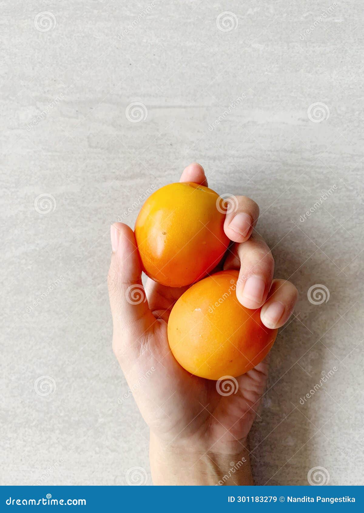 Hand Hold Two Tomatoes stock image. Image of vegetables - 301183279