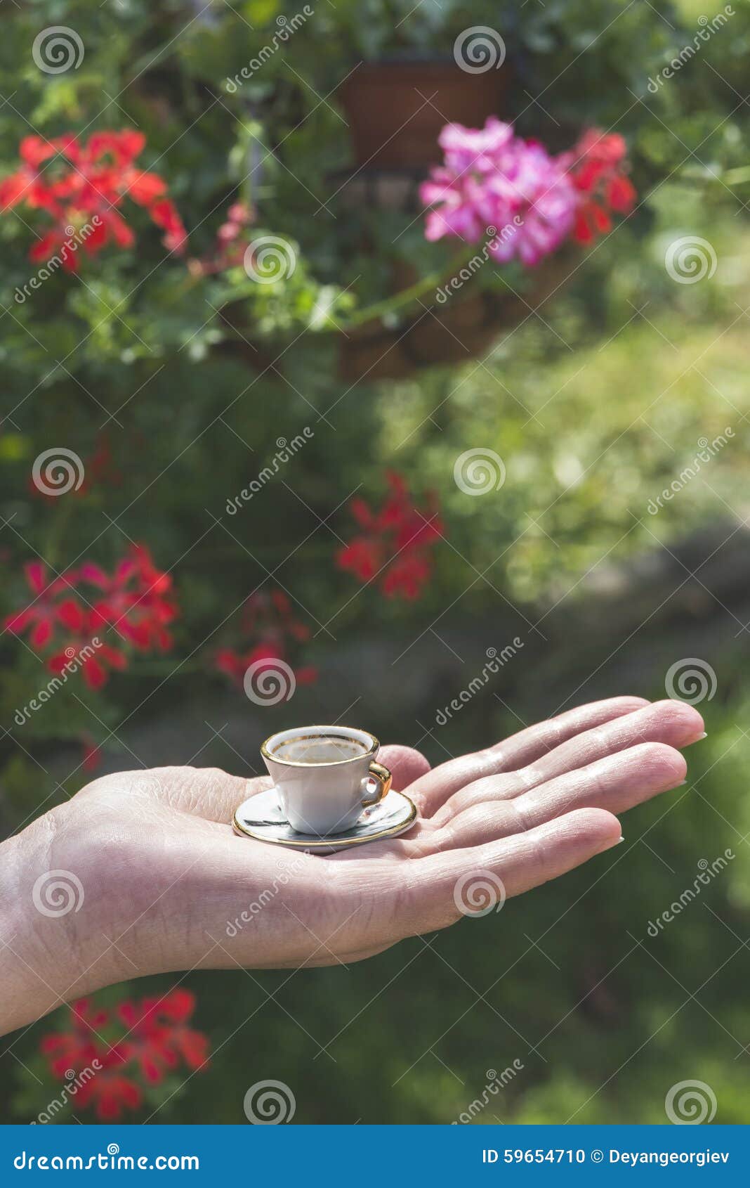 Hand Hold Very Small Cup of Coffee Stock Photo - Image of brown ...