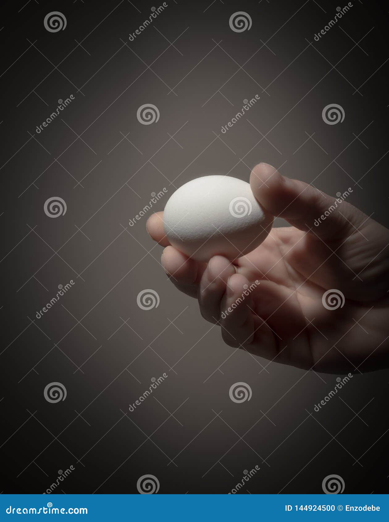 Hand hold an white egg stock photo. Image of farming - 144924500